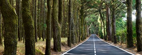 Roads | Filming Permits | Tenerife Film Commission