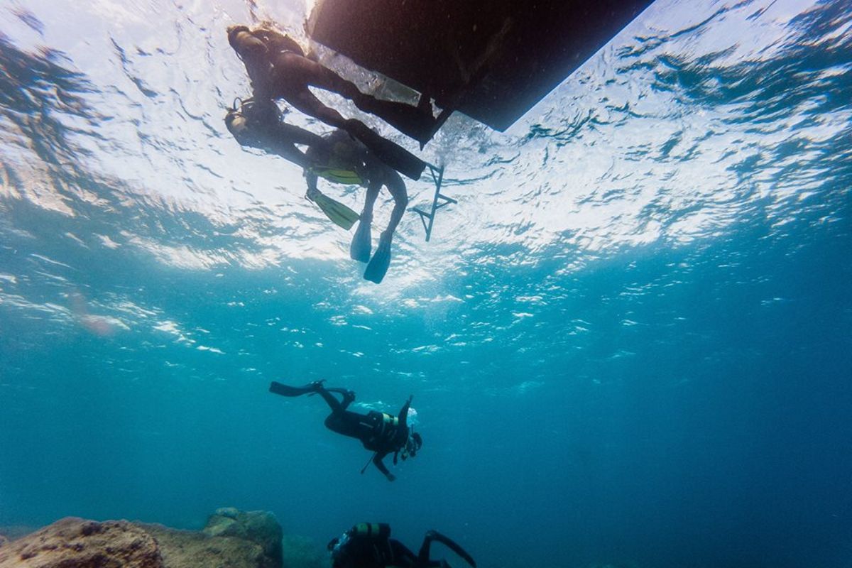 Atlantic Eco Diving | Diving centres | Tenerife