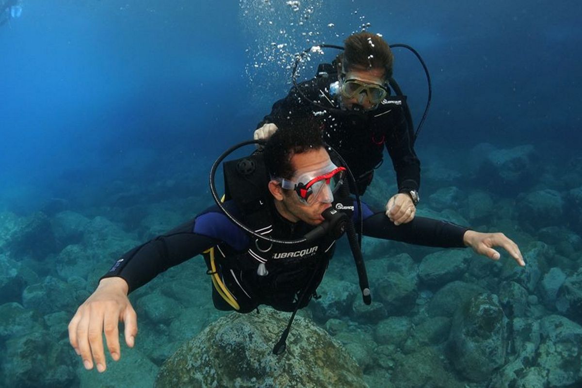 Atlantic Eco Diving | Diving centres | Tenerife