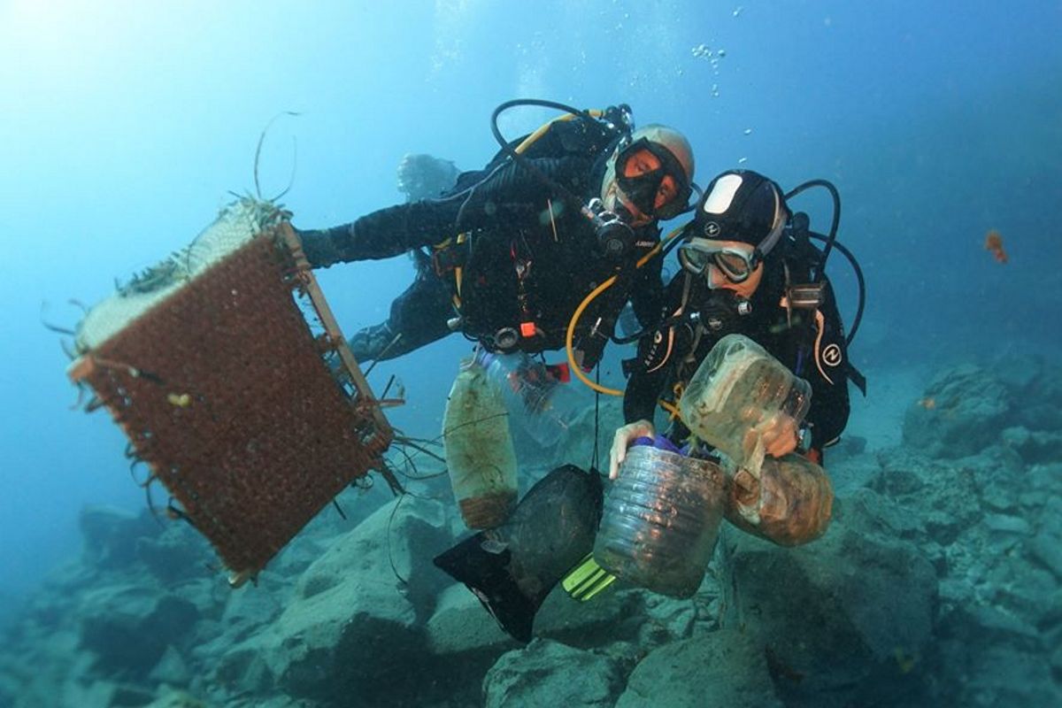 Atlantic Eco Diving | Diving centres | Tenerife