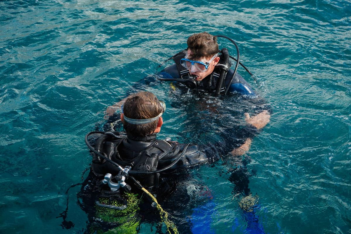 Atlantic Eco Diving | Diving centres | Tenerife