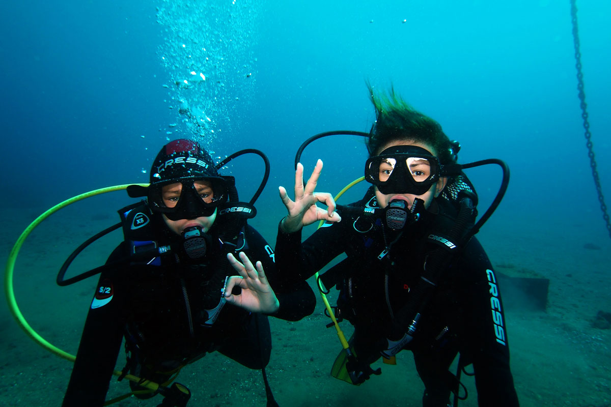 Ocean Friends Diving and Freediving | Diving centres | Tenerife