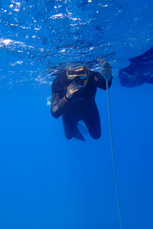 Freediving in Tenerife: Companies to learn & practice apnea