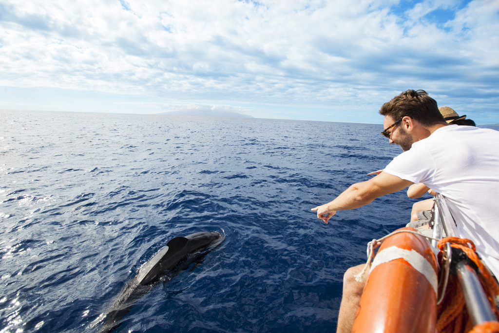 Volcanoes of Tenerife: Volcanic areas and activities