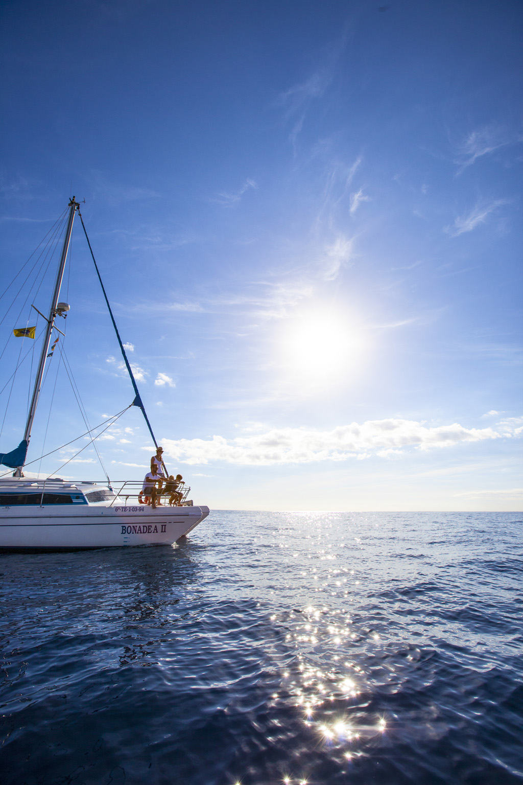 Volcanoes of Tenerife: Volcanic areas and activities