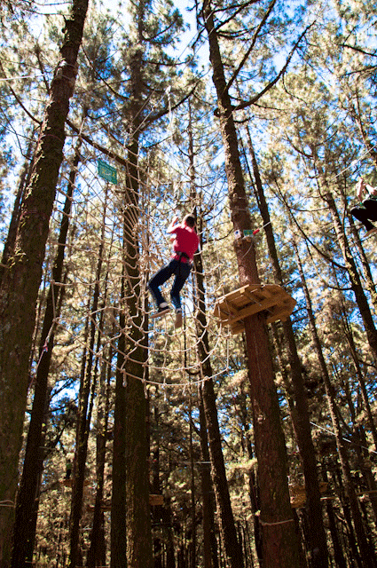 Forestal Park Tenerife | Leisure Parks | Tenerife