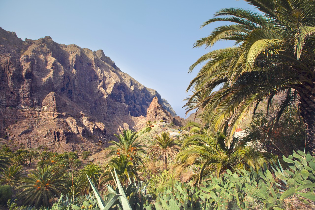 Masca Gorge in Tenerife: How to get there, prices and tickets