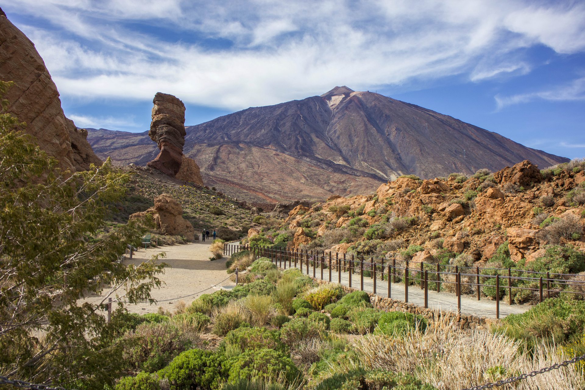 Tenerife in spring, an explosion of life and colour – Tenerife! awakens ...